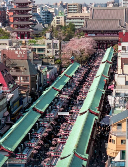 JAPONIA și COREEA de SUD - Exact Travel