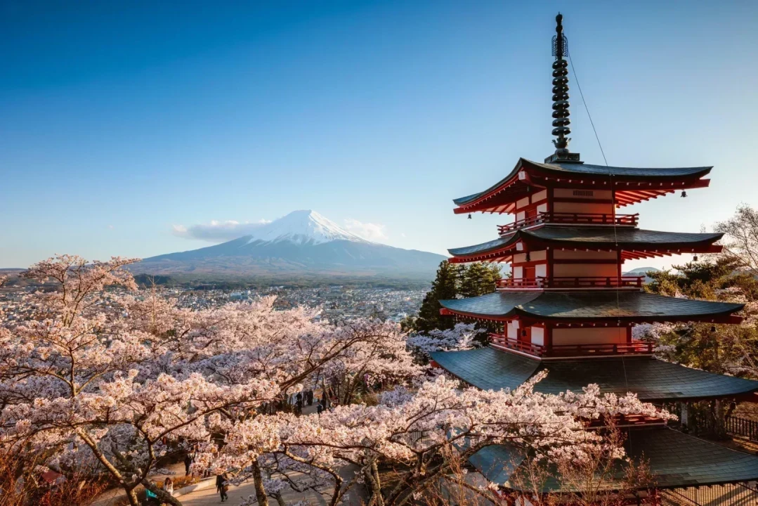 JAPONIA – Tur Esențial - Exact Travel